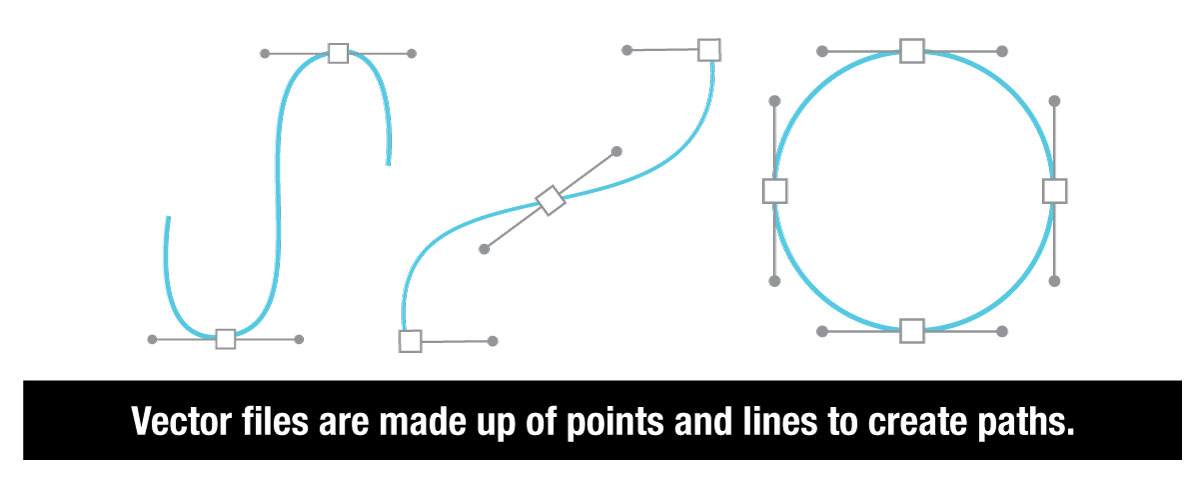 Pixels and Paths: Navigating the World of Vector and Raster Files | ATA ...